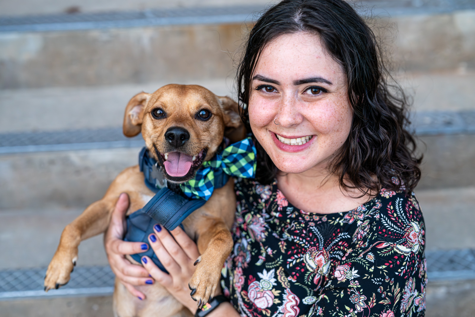 Let's Talk About Your Dog - JP Dogs